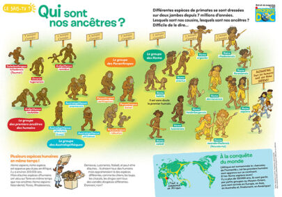 Cap sur la préhistoire - Bayard Jeunesse Éducation