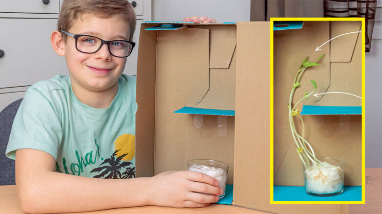 10 expériences scientifiques pour les cycles 2 et 3 - Bayard Jeunesse ...